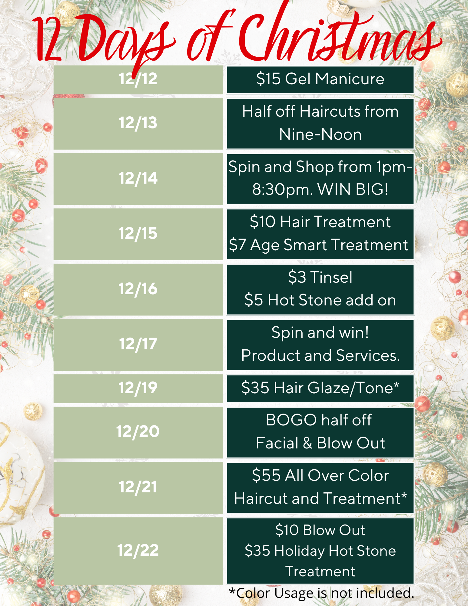 12 Days of Christmas - TSPA Holland